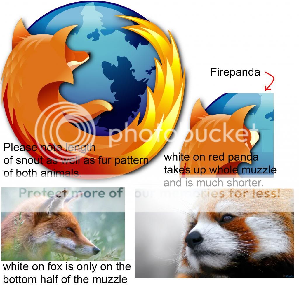 Fox Panda Photo by Fox-Anderson | Photobucket